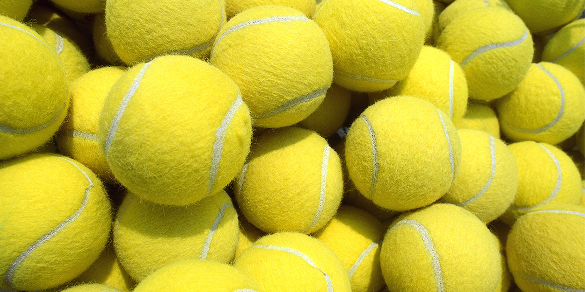 Board of Directors and Management Committee Applications Open